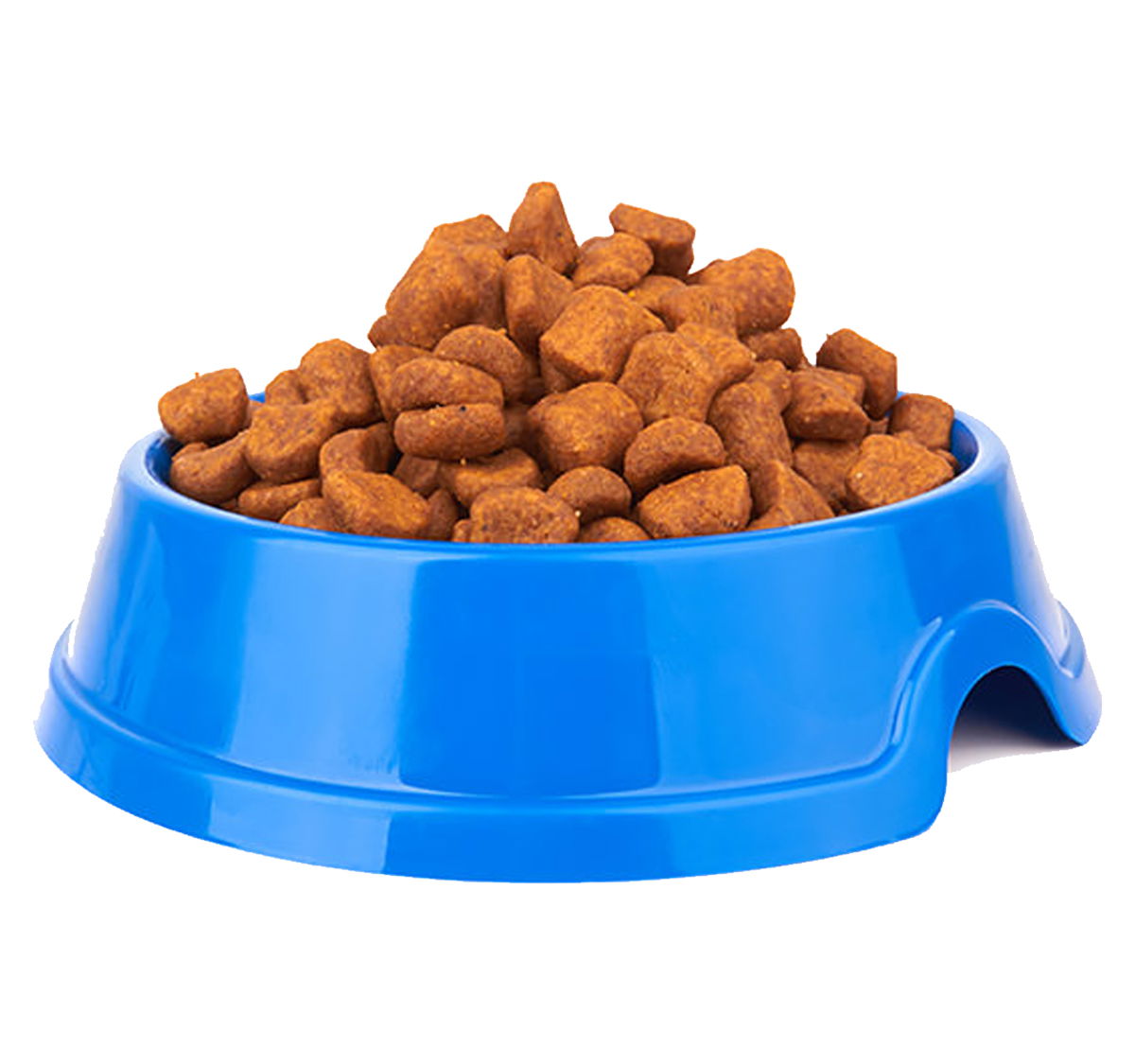 Marten - Pet Food eCommerce Bootstrap 5 Template