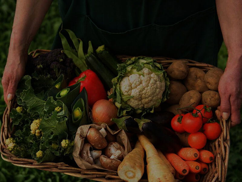 Ogani - Organic Food eCommerce Bootstrap 4 Template